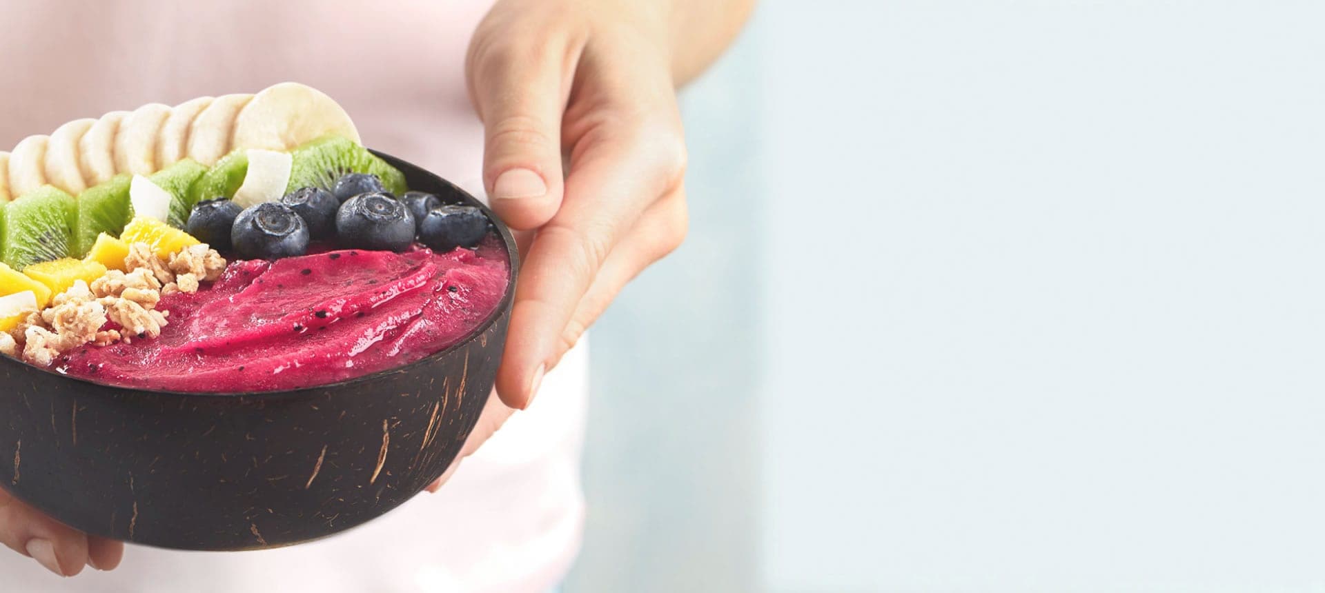 Native Foods - 100% Organic & Vegan Fruit Sorbets